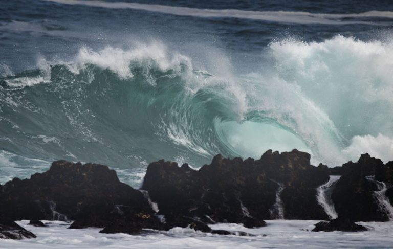 Storms River NP 7-8th October – Richard Grant Photography